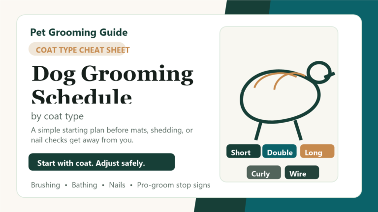 Dog Grooming Schedule by Coat Type - Pet Grooming Guide